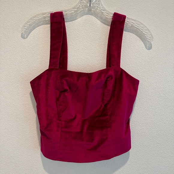 Maeve | Tops | Maeve Fuchsia Velvet Cropped Tank Anthropologie | Poshmark